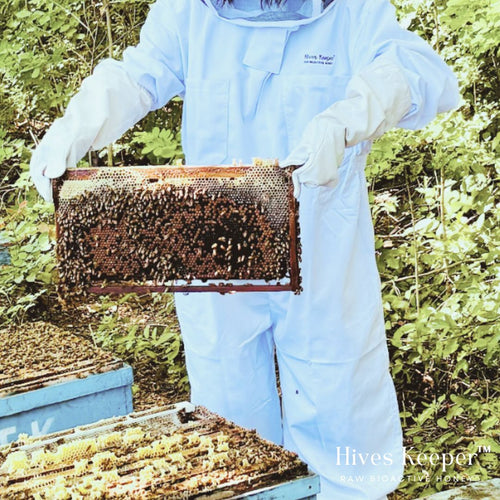 Is Supermarket Honey Fake? – Hives Keeper