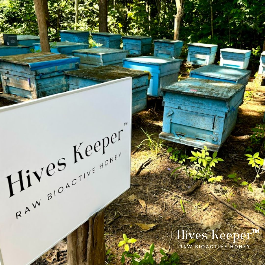 Raw Honey Supplier Singapore | Hives Keeper